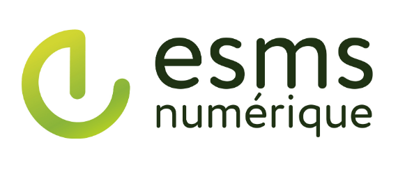 Programme ESMS numérique | Orisha Socialcare